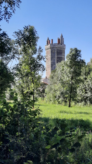 A faire : Vallée du Hâvre entre Oudon et le Haut Vieux Couffé - Randonnée