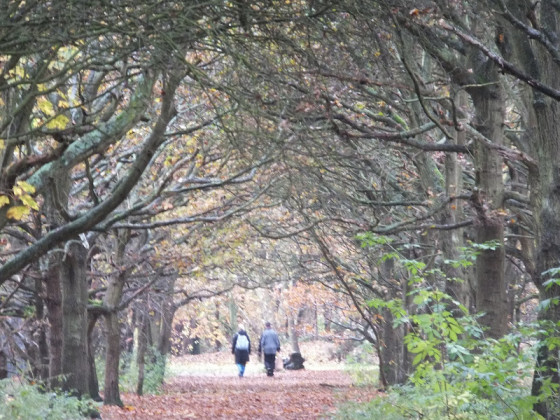 The Sandlings - Martlesham to Rushmere Heath - Walk