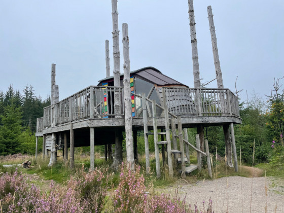 Abriachan Forest hidden Tree houses - Walk