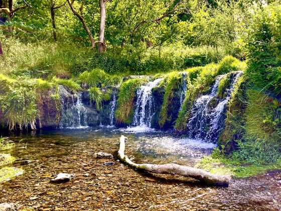 Lathkill Dale from Haddon Grove Farm - Walk