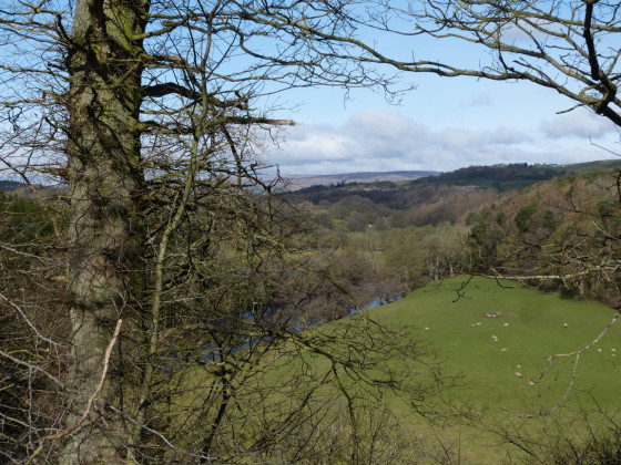 Teesdale Way Circular from Barnard Castle - Walk