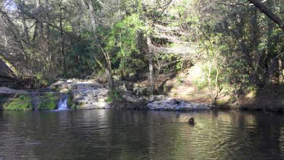 A faire : Les vallons de la Brague et du Bruguet - Randonnée