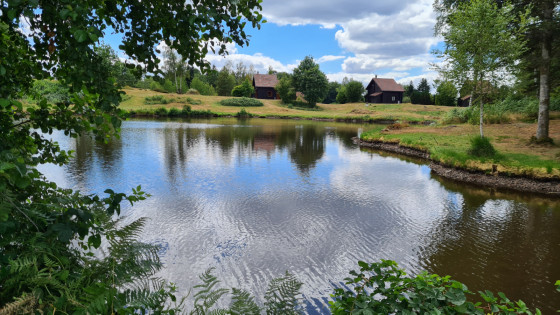 In the centre of the thousand ponds - Walk