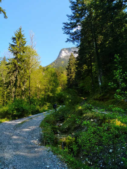 A faire : La Croix du Roy - Randonnée