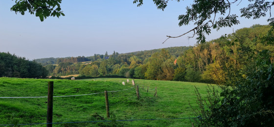 A faire : Autour du Mont des Cats (Balade des Katts) - Randonnée