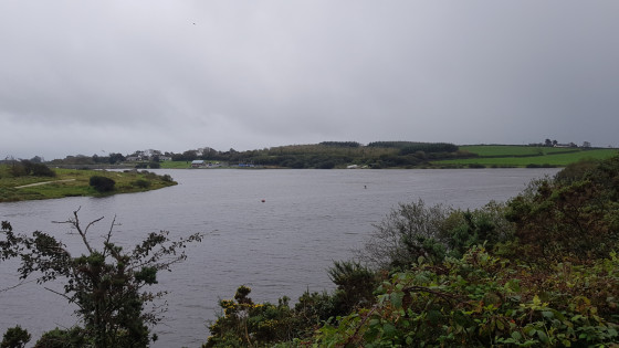 Upper Tamar Lake - Walk
