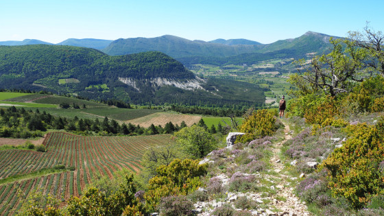 A faire : De Saint-Auban-sur-l'Ouvèze à Izon-la-Bruisse par le sommet ...
