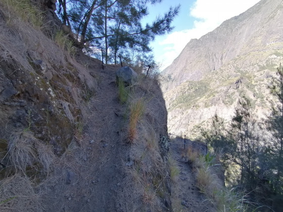 A faire : Îlet à Cordes par les sentiers Burel et du Reposoir - Randonnée