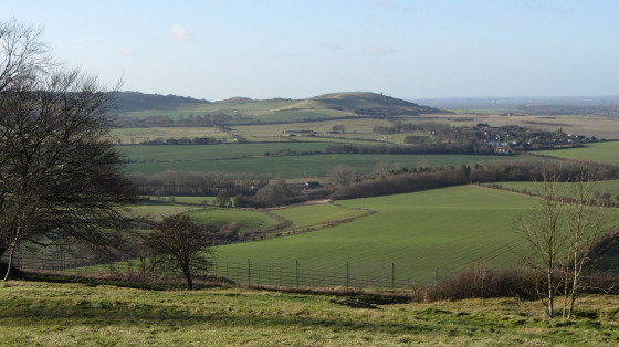 Studham and Dunstable Downs, Chilterns - Walk