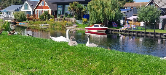 Surfleet via Peter Seadike Lane to Surfleet Bank return via Macmillan ...