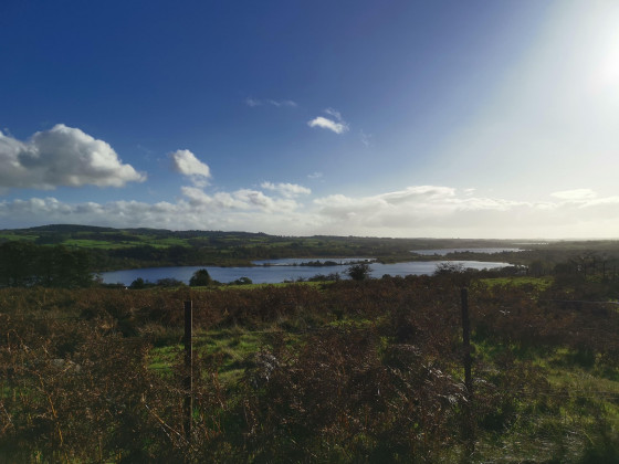 Parkhill Wood, Castle Semple Country Park - Walk