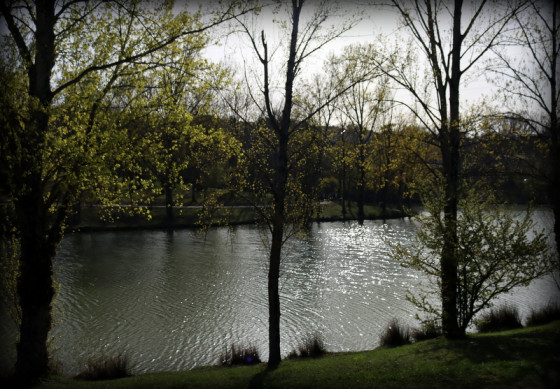 A faire : Tour du lac de Flourens et de ses environs - Randonnée