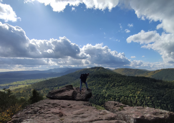 A faire : Tour du Brotsch au départ de Saverne - Randonnée