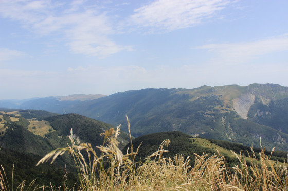 A faire : Crêt Chalam depuis Forens - Randonnée