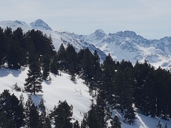 A faire : Plateau de Beille - Trace de l'Ours - Randonnée