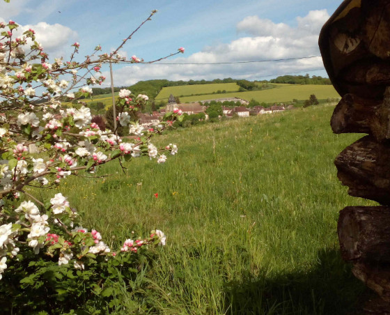 A faire : Circuit du Maquis Bourgogne autour de Dixmont - Randonnée