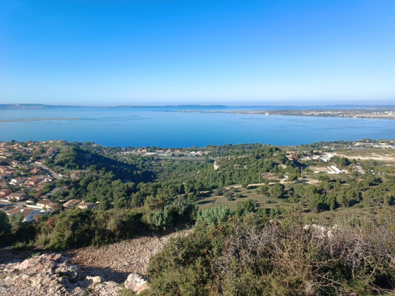 A faire : Le plateau de Vitrolles - Randonnée