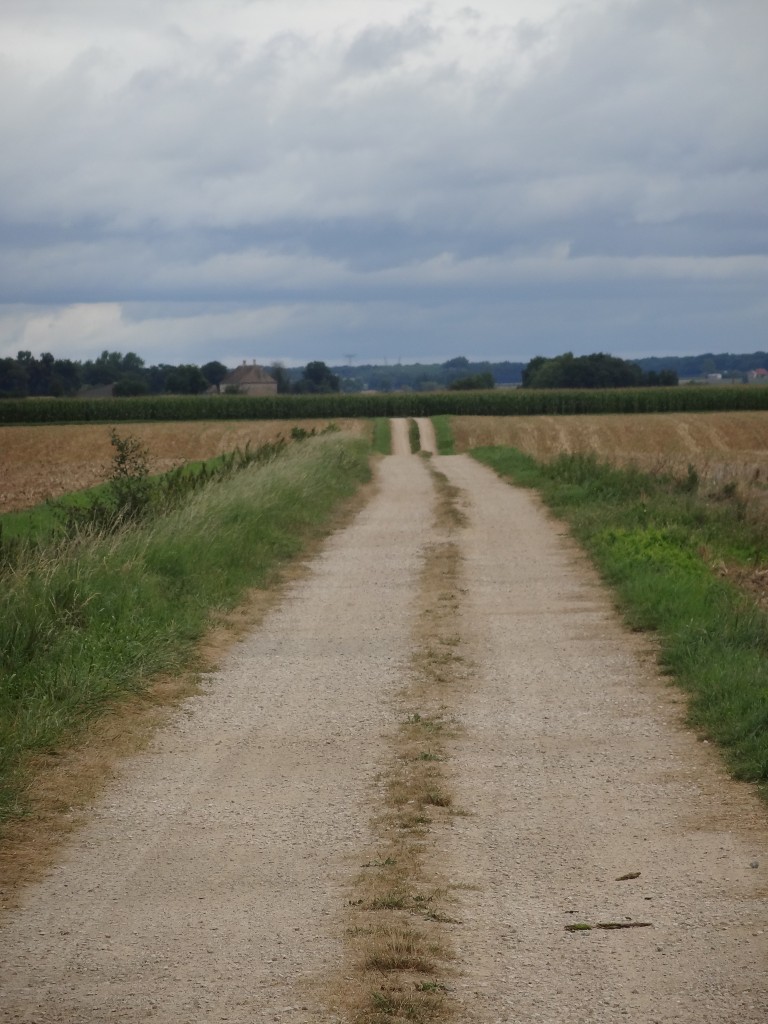 Photo : Le chemin de remembrement