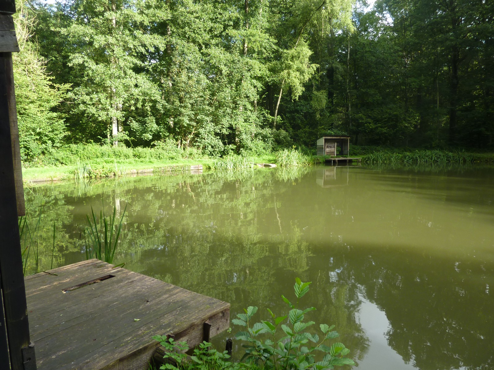 Photo : Un étang de pêche